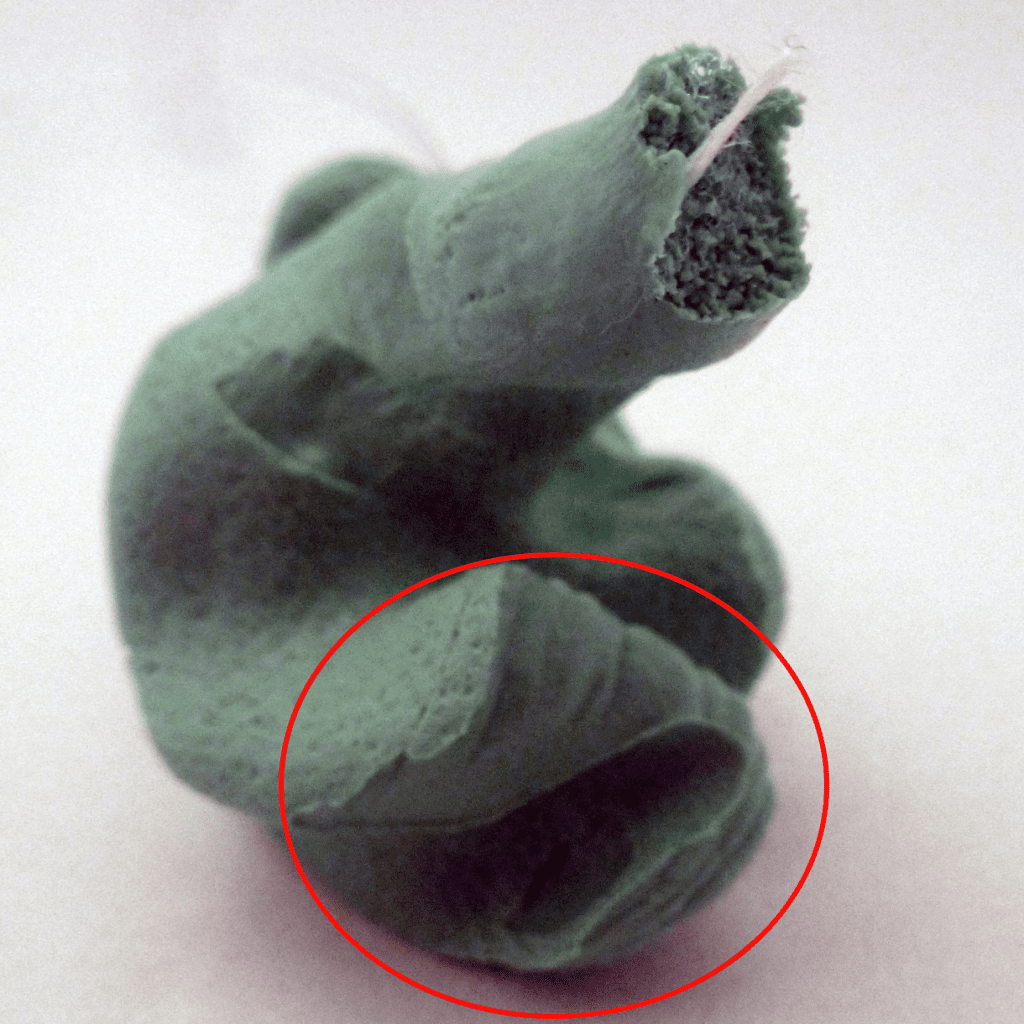 Ear self-impressions for custom in-ear monitors – what you need to know ...