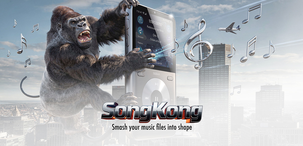 SongKong: smash your music files into shape | The Headphone List